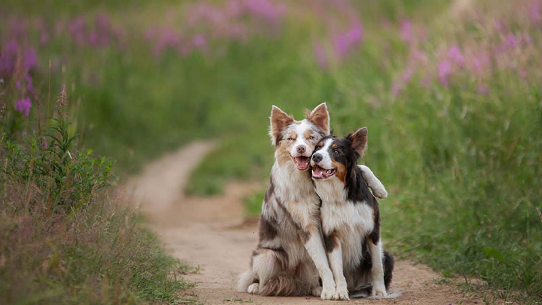 Dette bør du vite om løpetiden